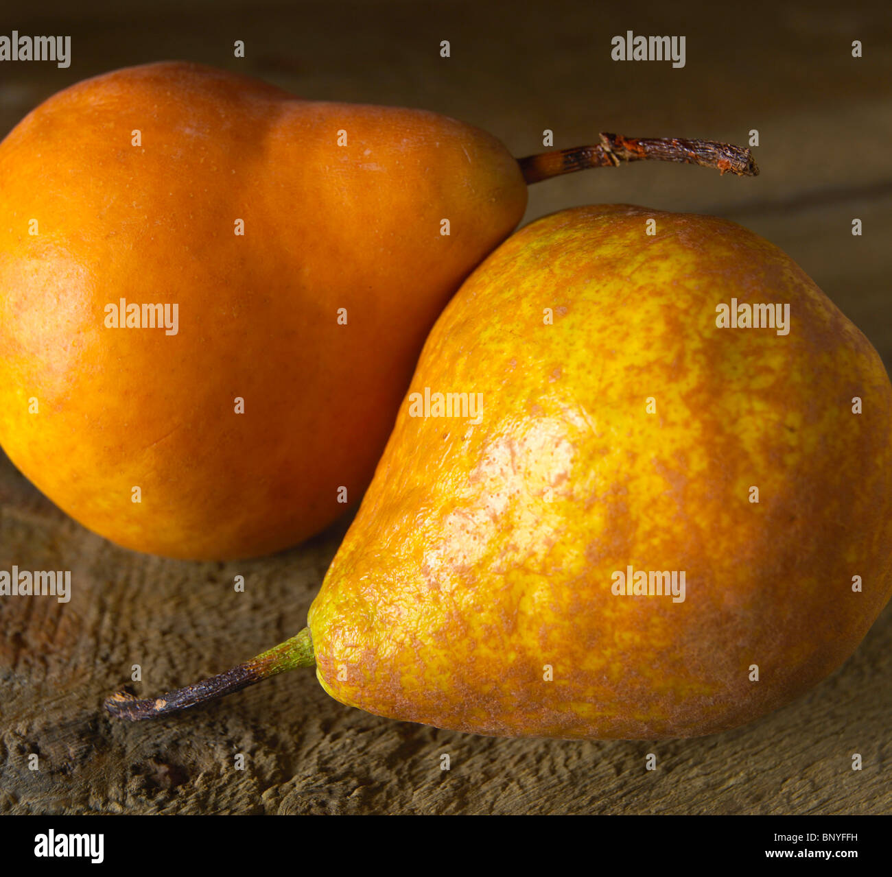 Classic image of two pears with soft, elegant lighting Stock Photo - Alamy