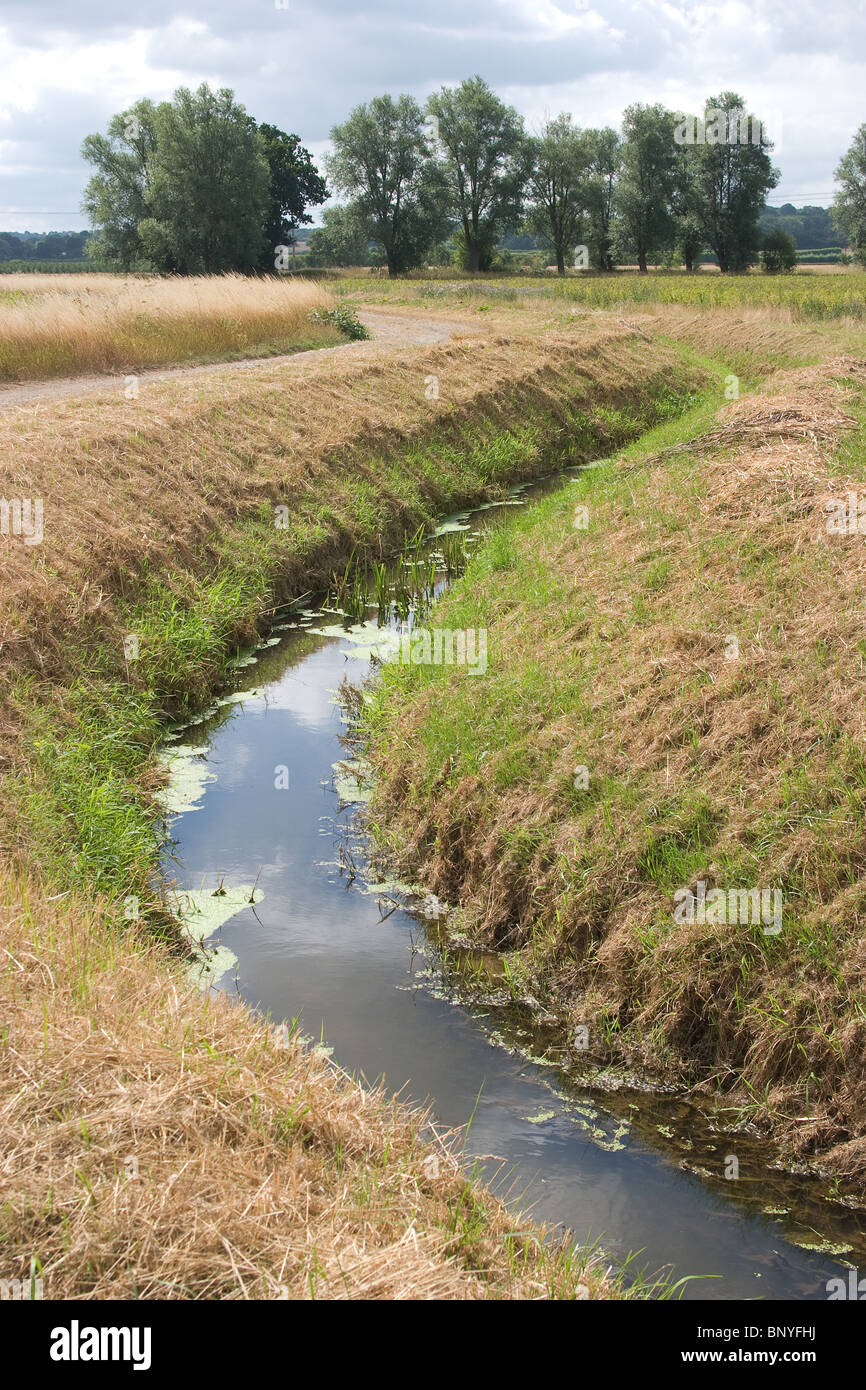 track path trees countryside sunny drainage ditch Stock Photo - Alamy