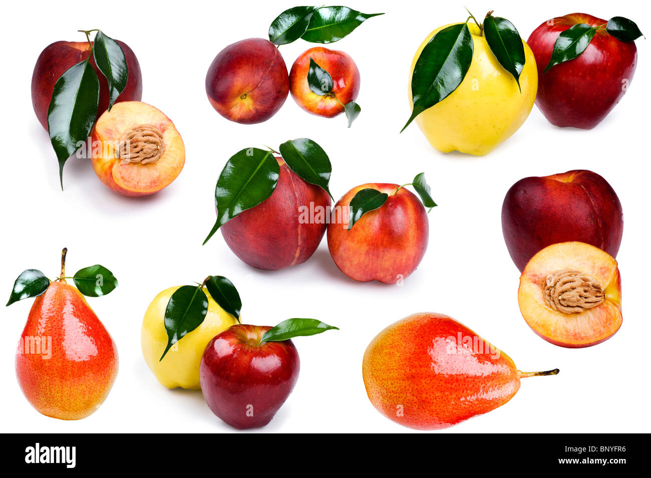 object on white - food peach and apricot close up Stock Photo - Alamy