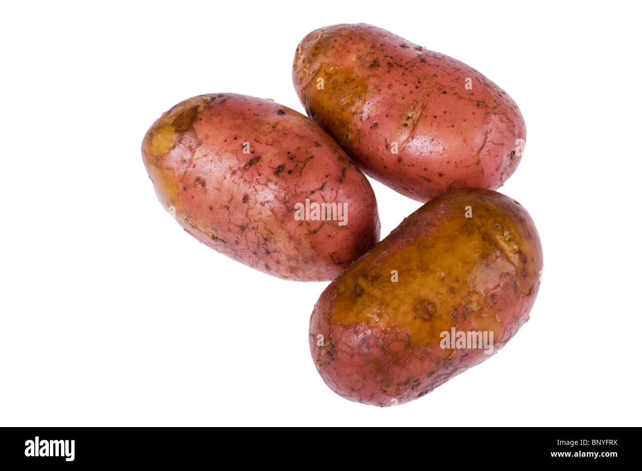 object on white - food potato close up Stock Photo - Alamy