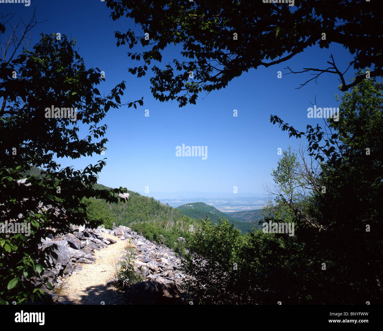 Appalachian Trail, VA Stock Photo - Alamy