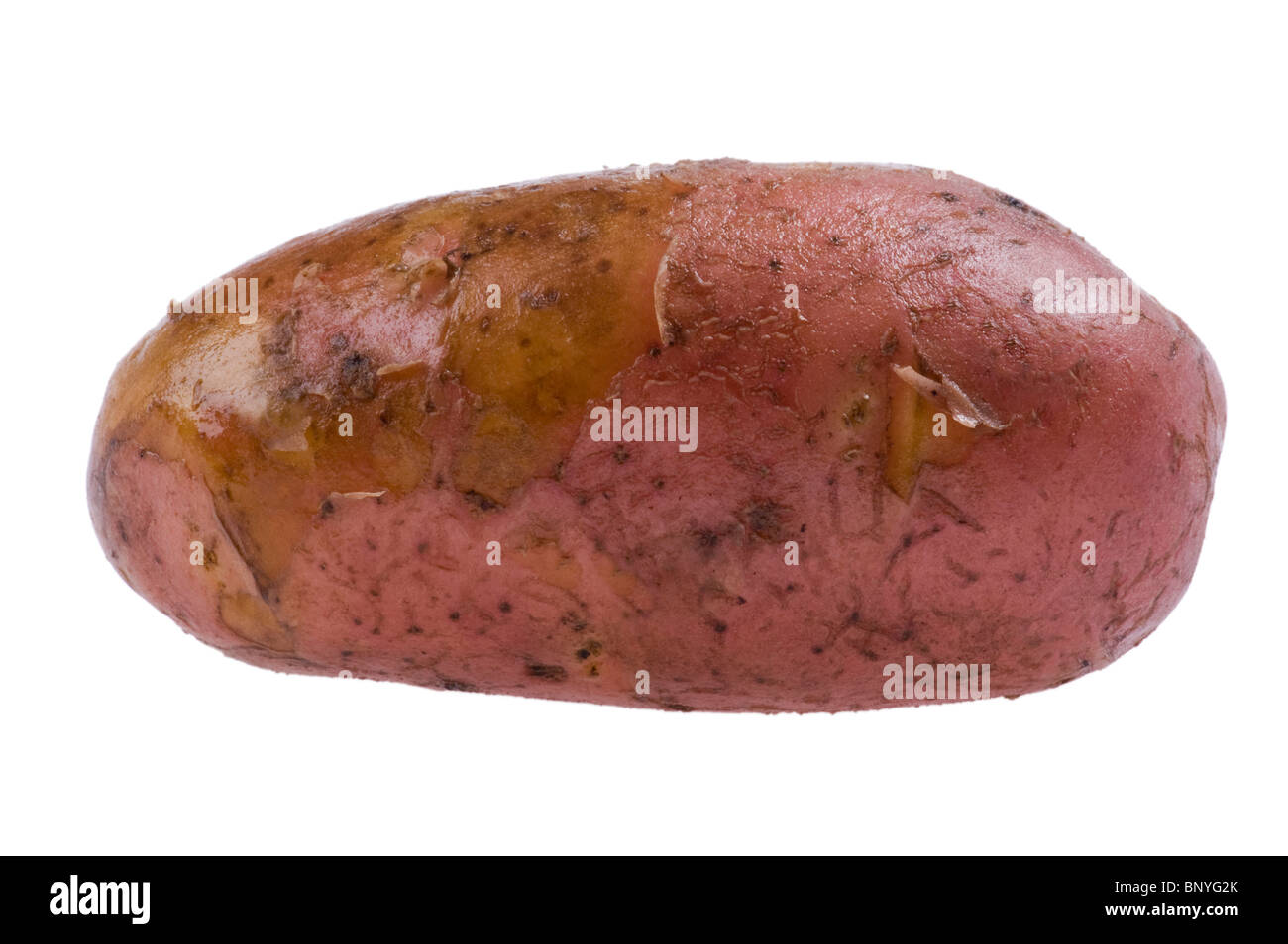 object on white - food potato close up Stock Photo - Alamy