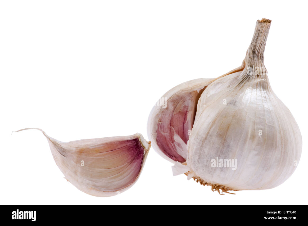 object on white - food White garlic close up Stock Photo - Alamy