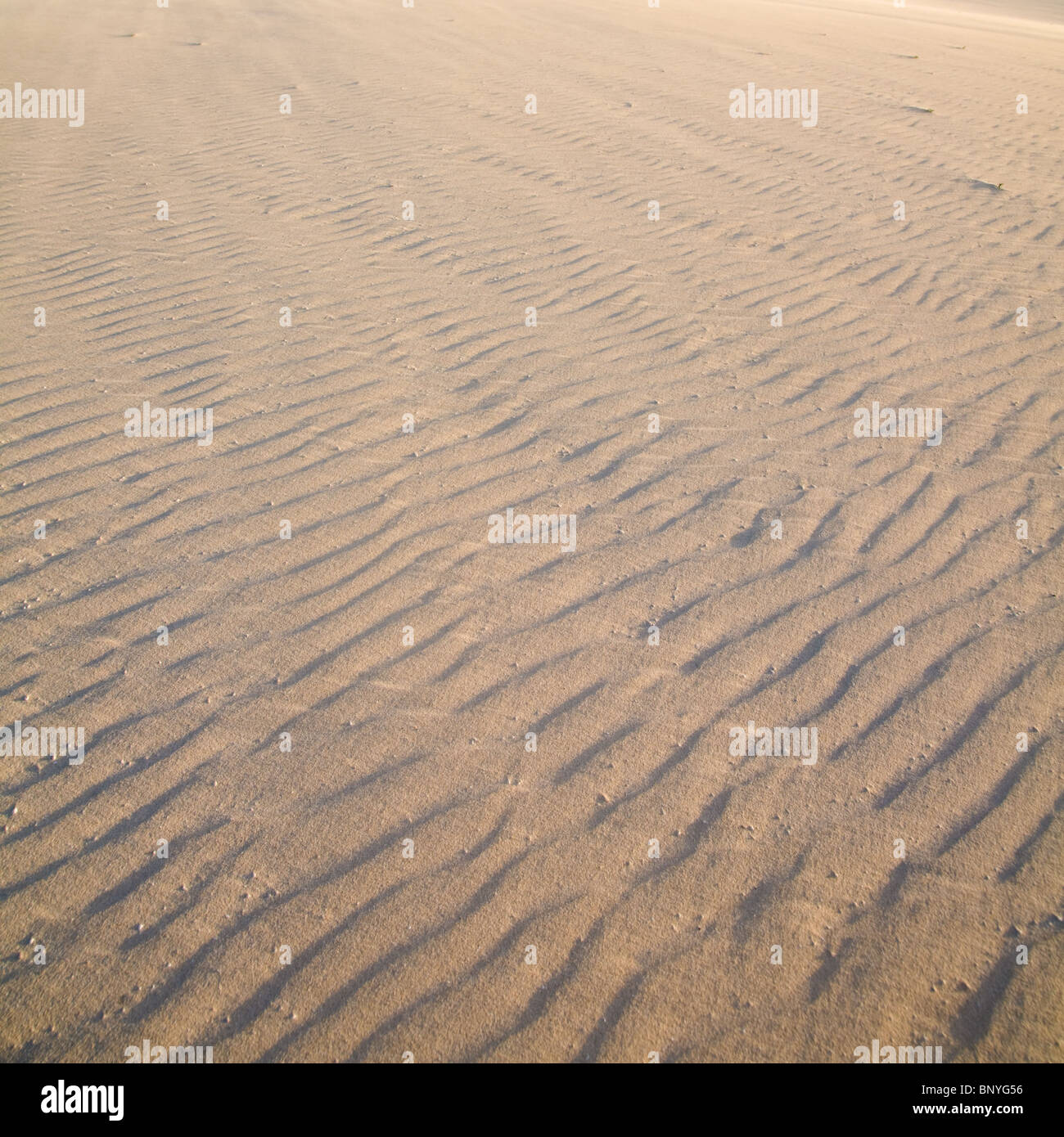 rippled sand background Stock Photo - Alamy