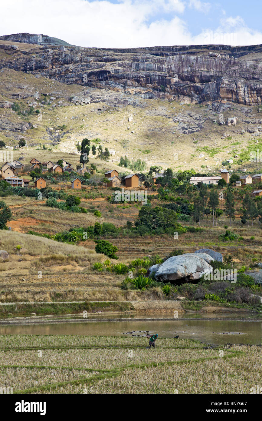 Typical scenery in the central highlands of Madagascar, which a ...
