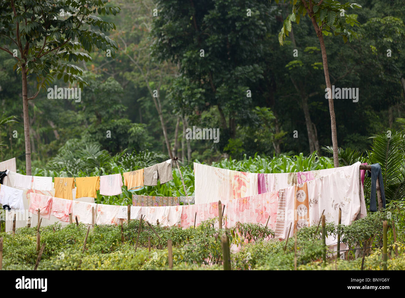 Clothes line dress hi-res stock photography and images - Alamy