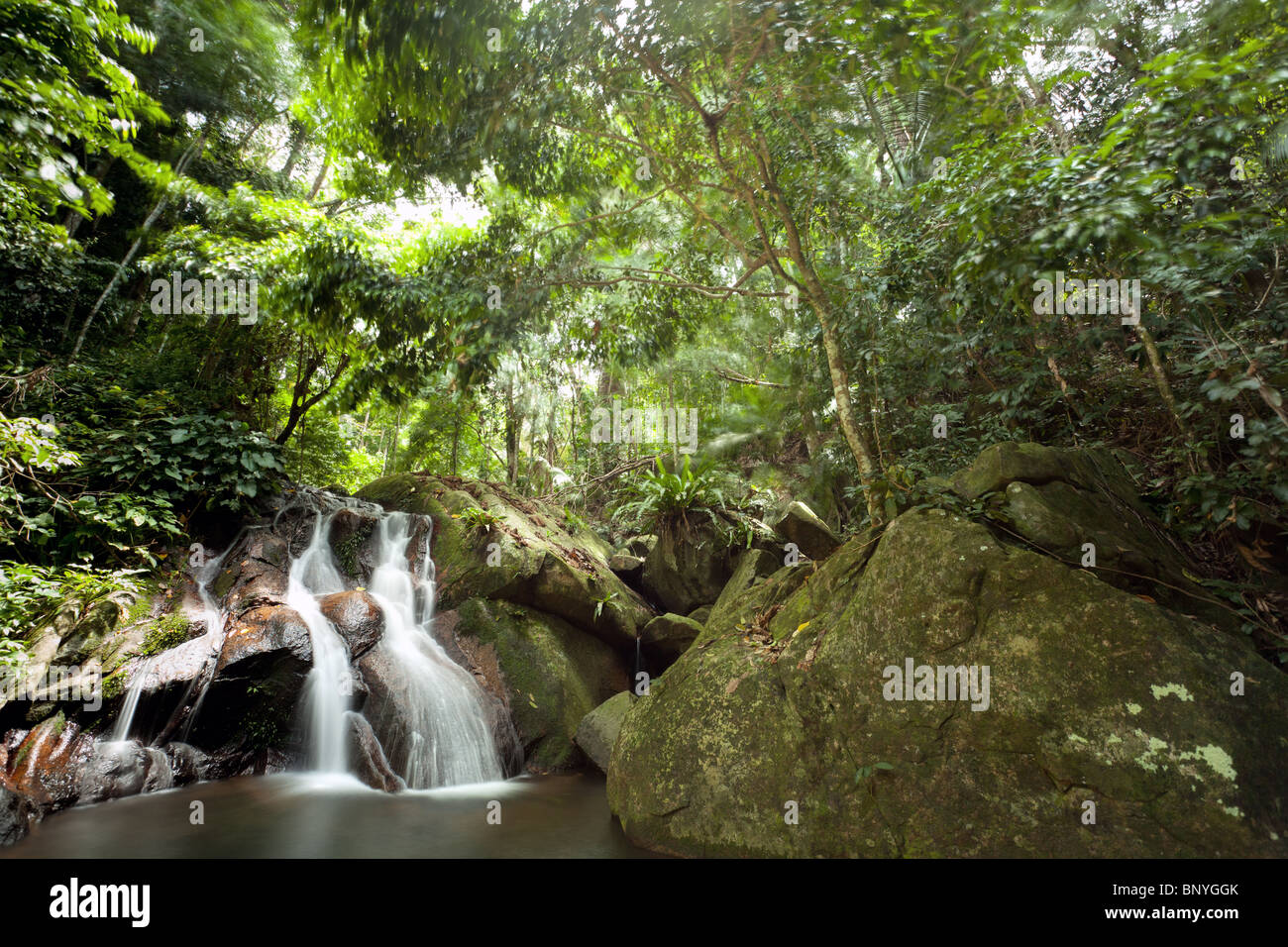 waterfall in Tioman island jungle, malaysia Stock Photo - Alamy
