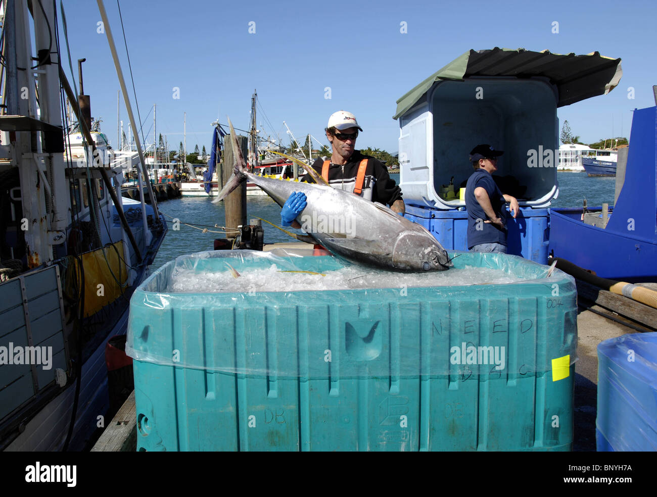 Over Fished – The Australian Fishing Zone is the third largest in the ...