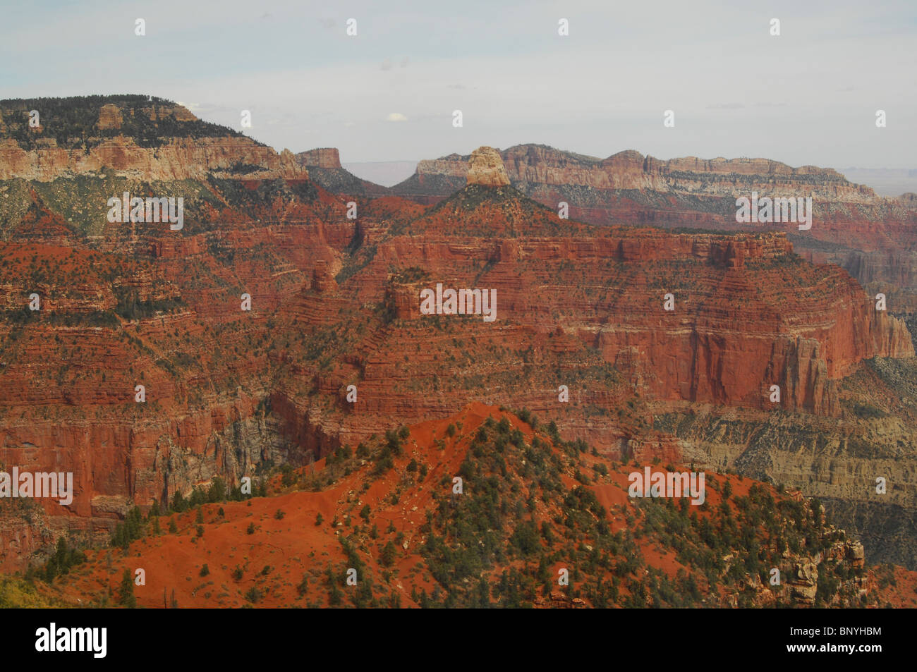 An aerial view of the grand canyon Stock Photo - Alamy