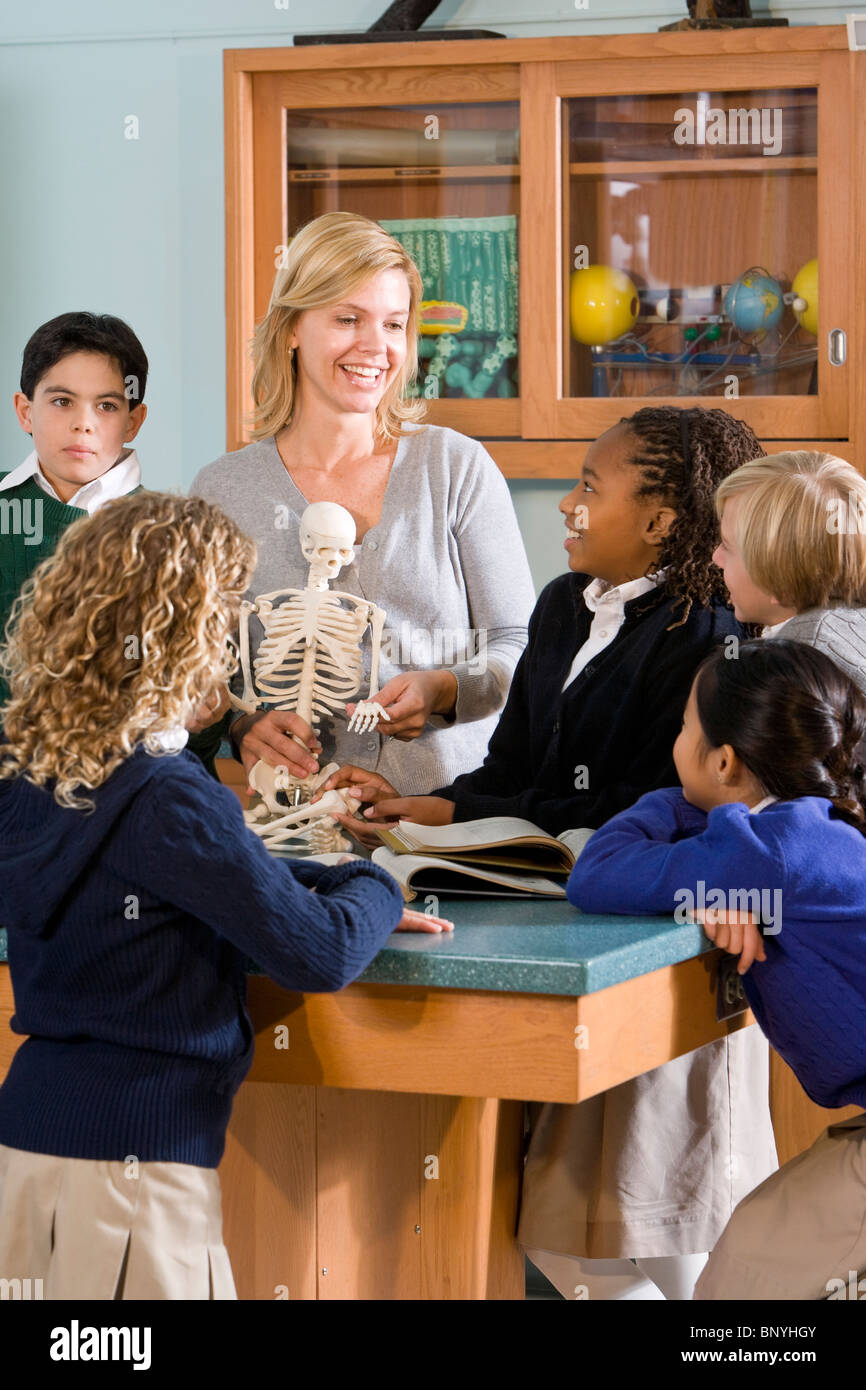 Teacher and students in science class with skeleton model Stock Photo ...
