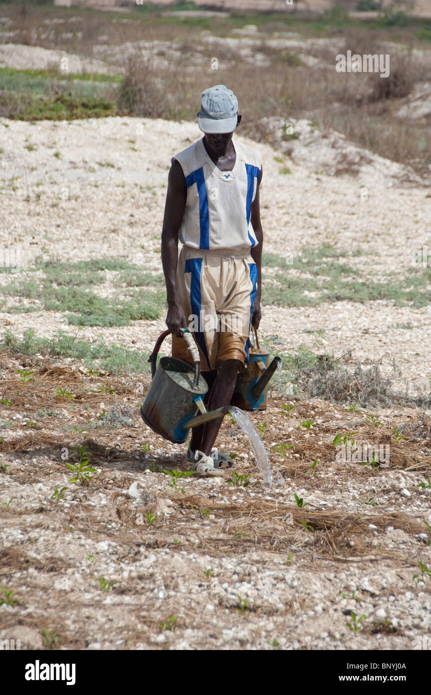 Senegal agriculture dry hi-res stock photography and images - Alamy