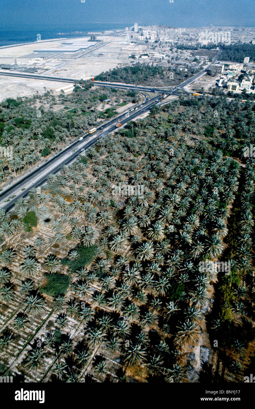 Bahrain date palms hi-res stock photography and images - Alamy