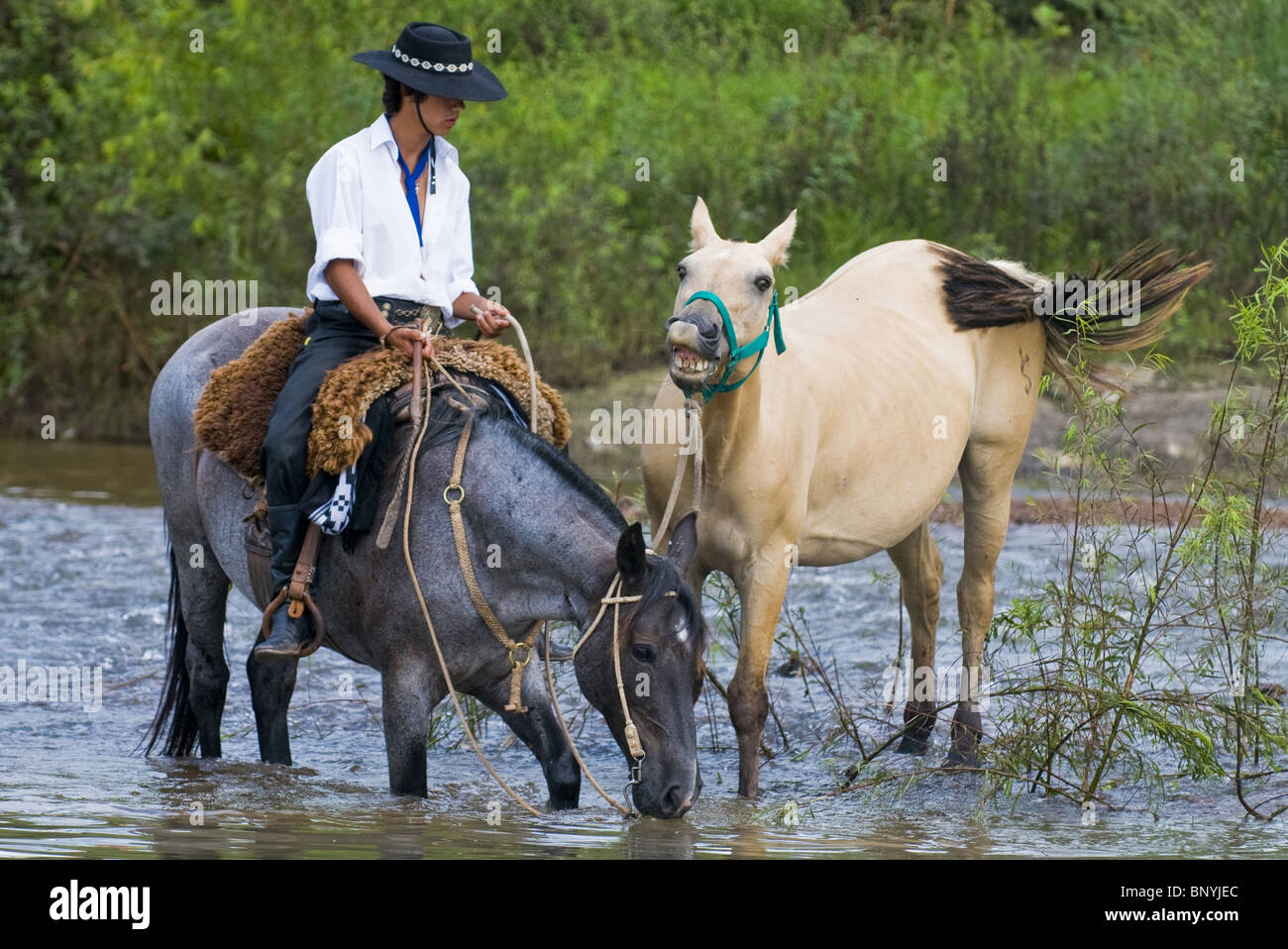 Participant in the annual festival Patria Gaucha in Tacuarembo Uruguay ...