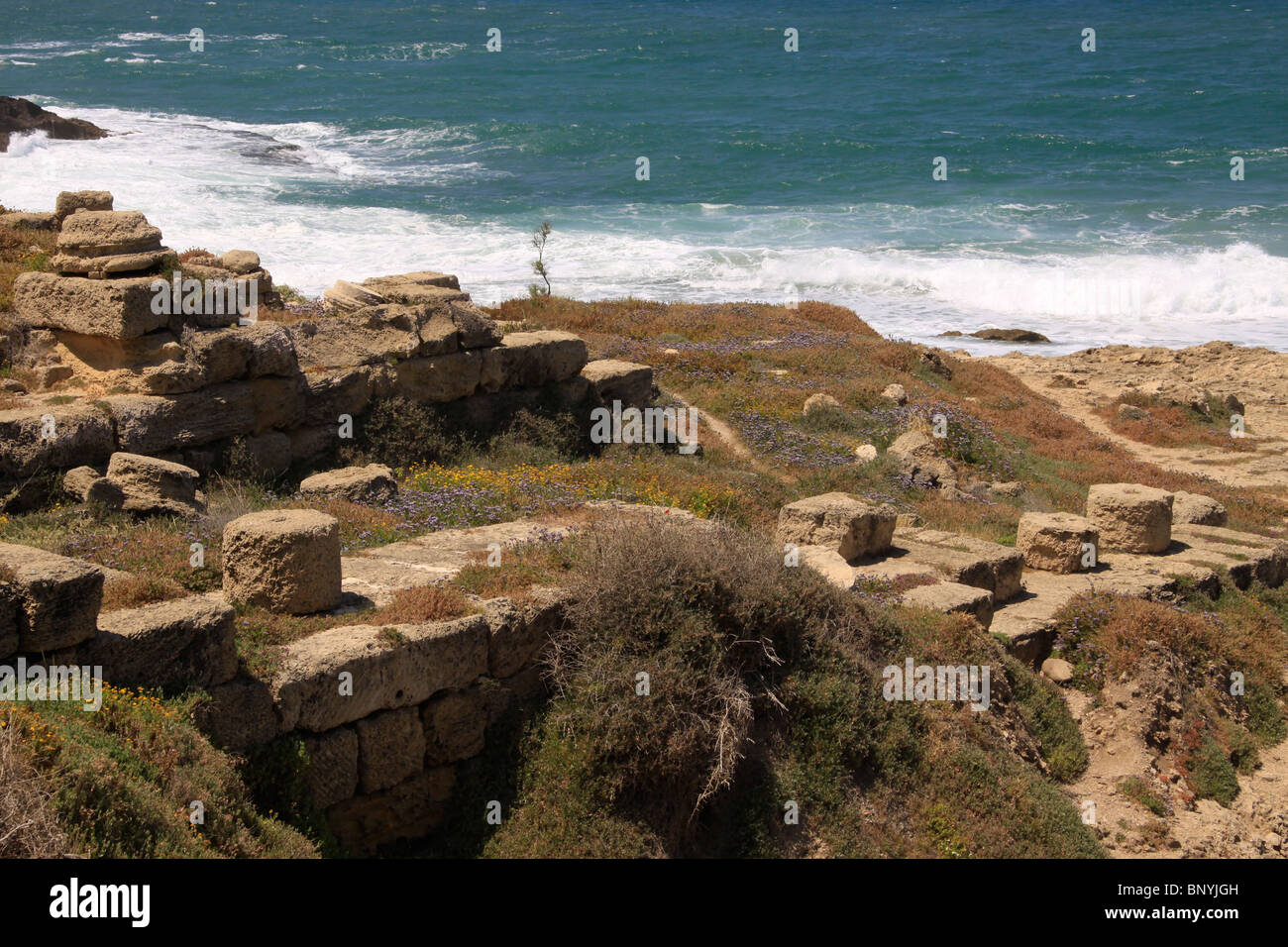 Israel, Carmel Coast, Tel Dor, site of biblical Dor, one of the largest ...
