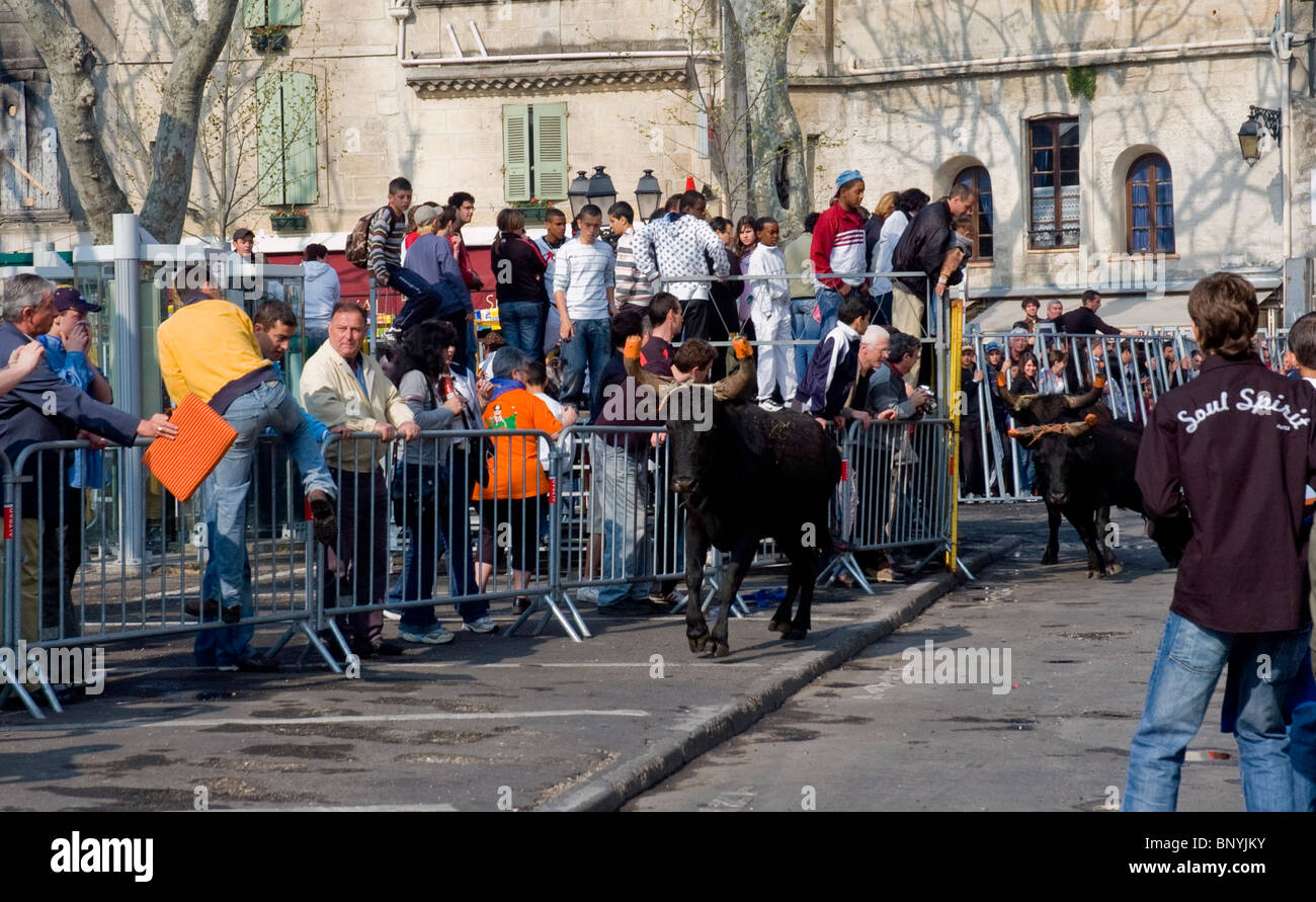Tourists watching free bull run street hi-res stock photography and ...