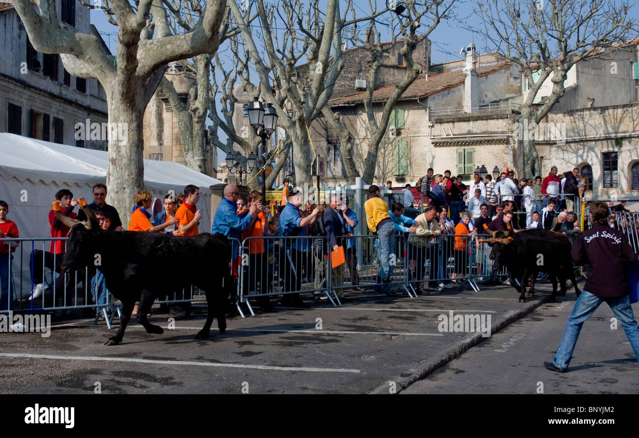 Tourists watching free bull run street hi-res stock photography and ...