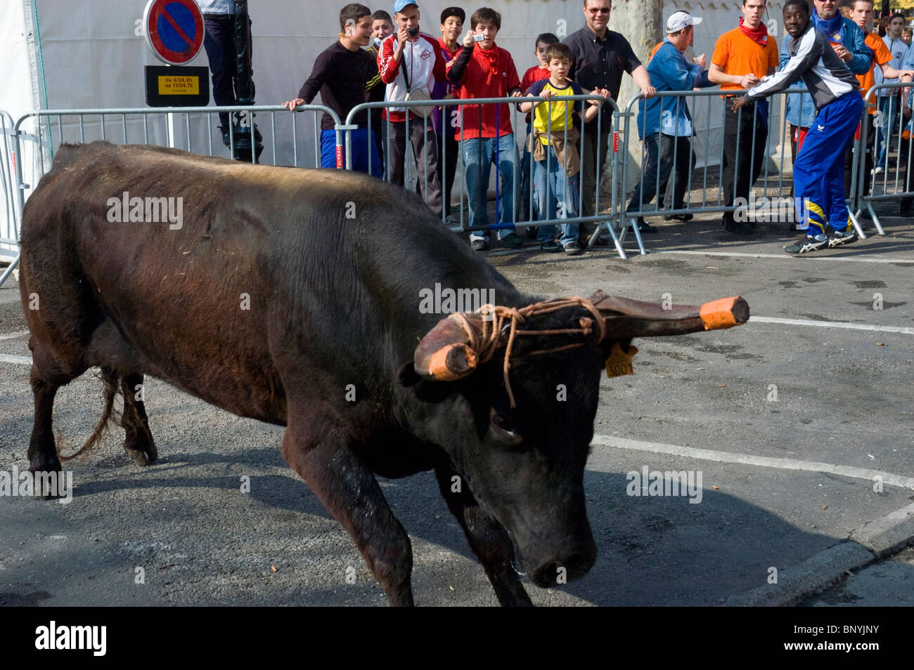 Foreign traditional event hi-res stock photography and images - Alamy
