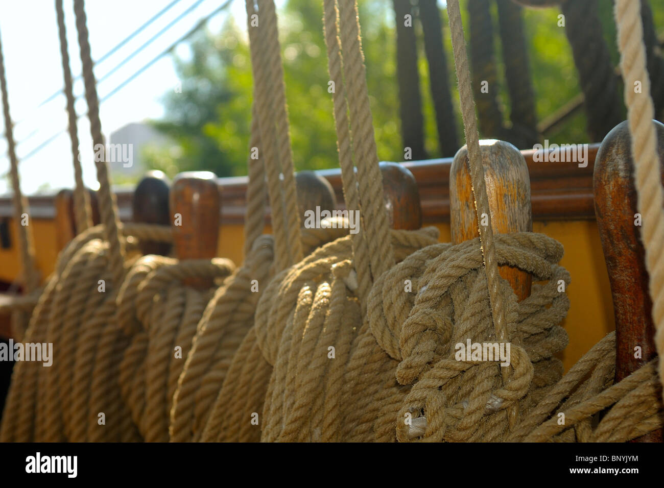 Tall shop details Stock Photo - Alamy