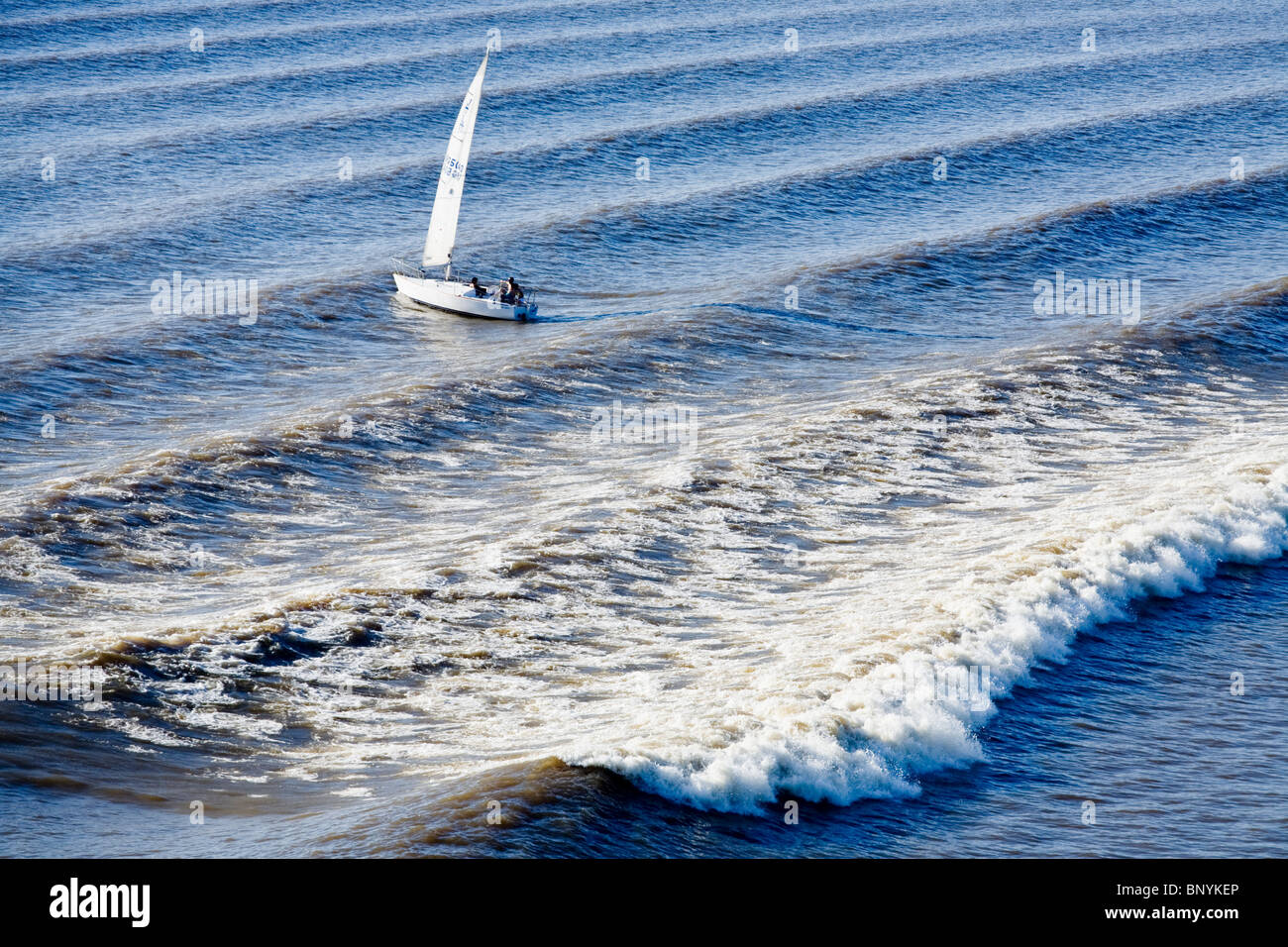 Indulge in nature hi-res stock photography and images - Alamy