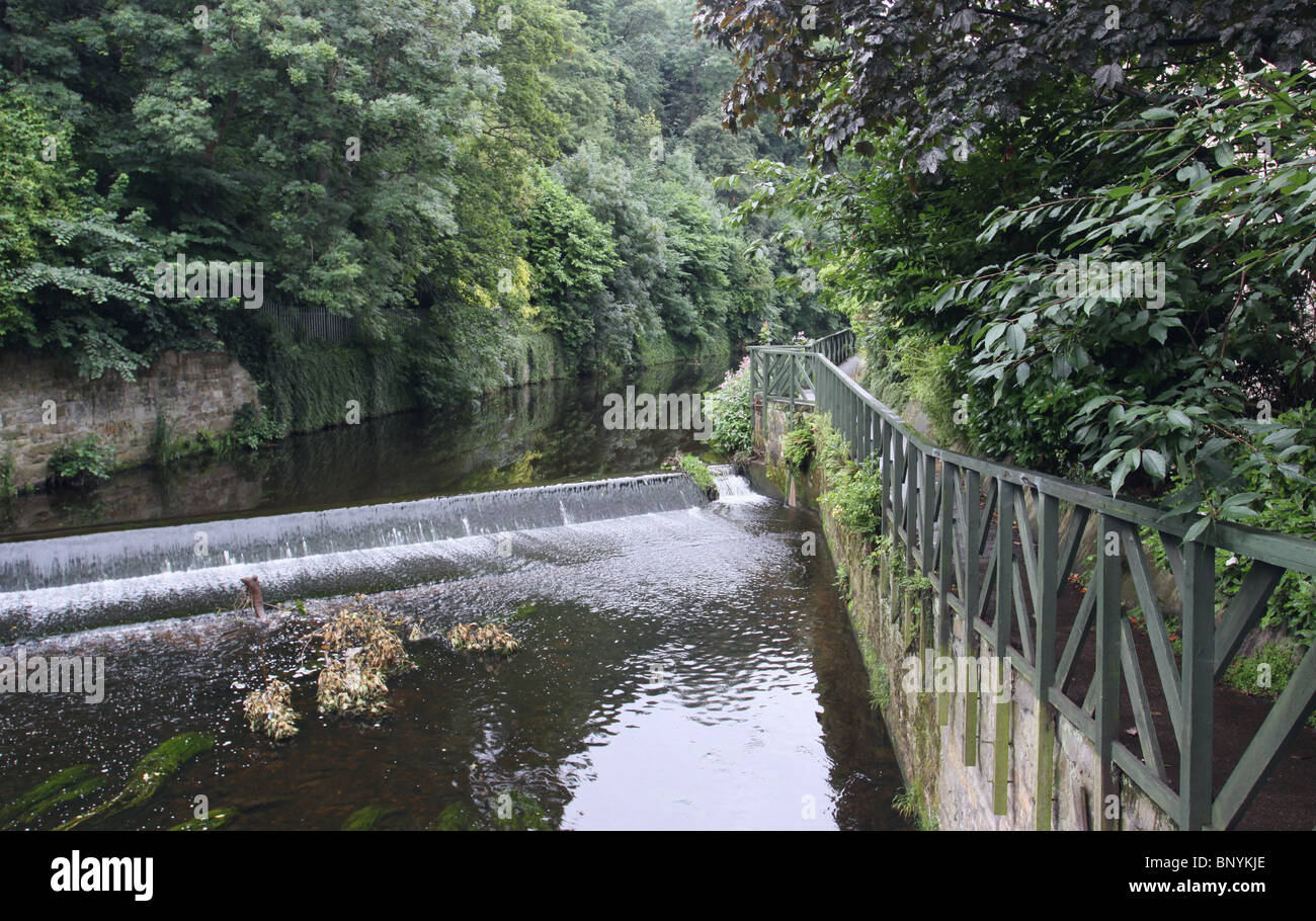 Water of leith footpath hi-res stock photography and images - Alamy