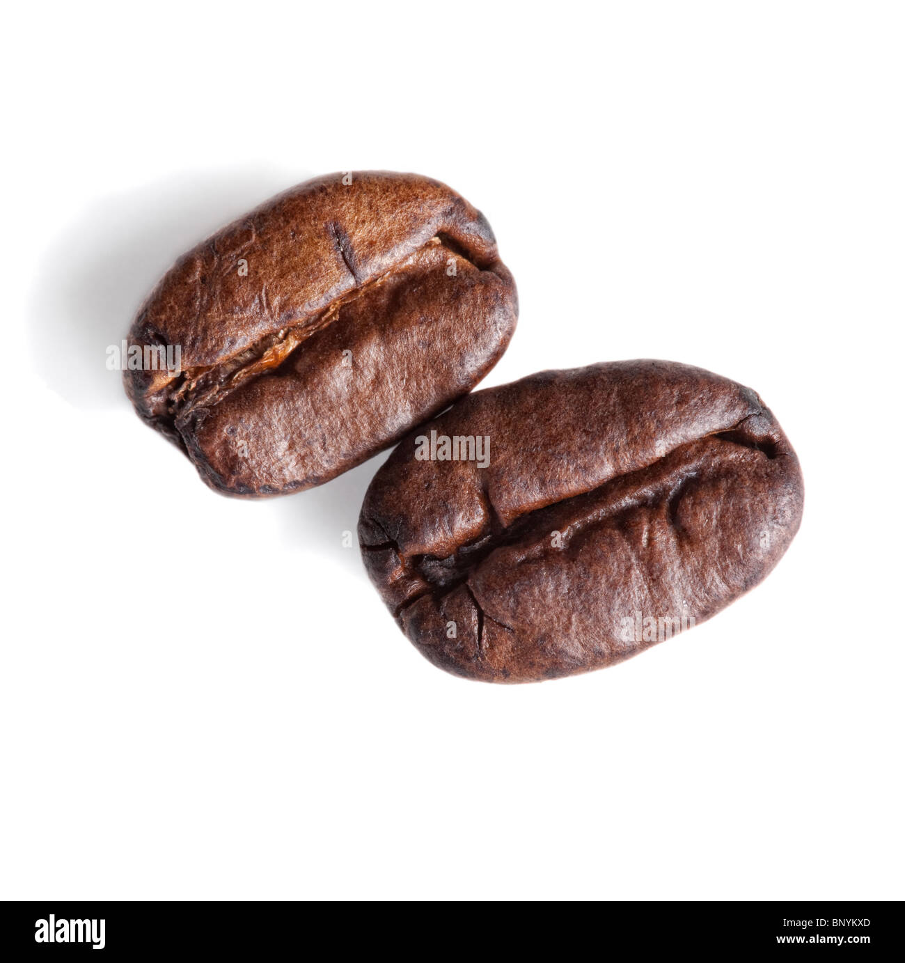 Two coffee beans isolated on a white background Stock Photo - Alamy