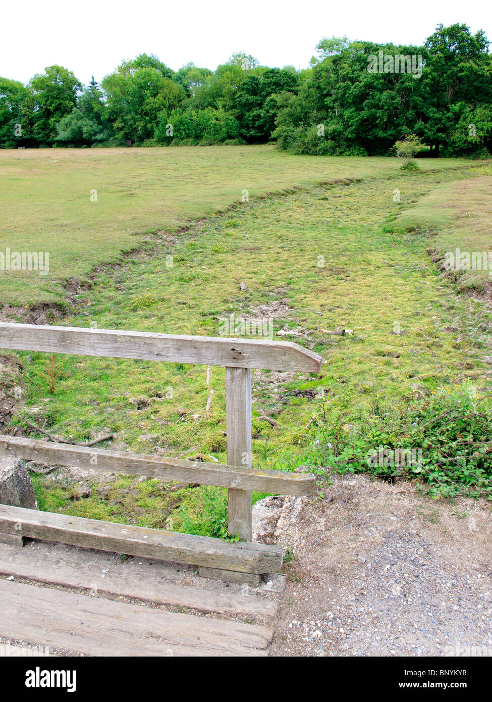 Ashurst new forest hi-res stock photography and images - Alamy