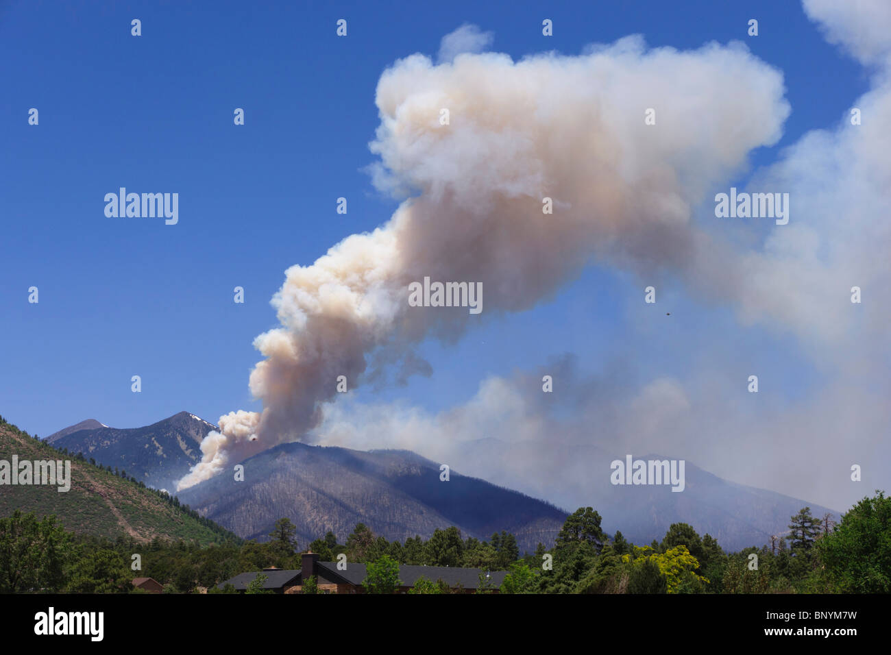 Flagstaff Arizona Schultz mountain forest fire June 2010 final day with ...