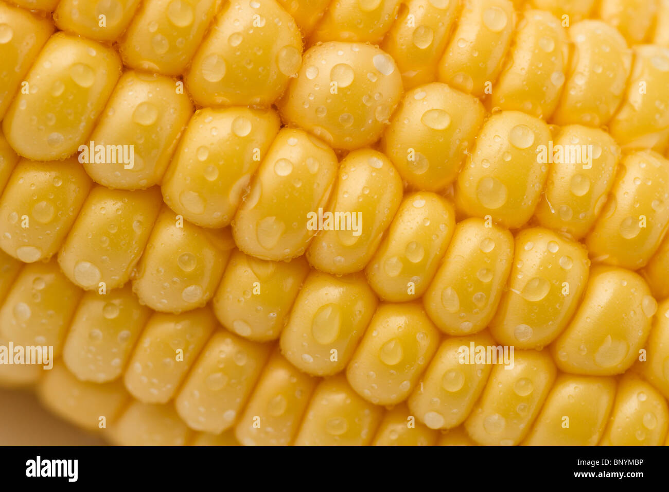 Wet kernels hi-res stock photography and images - Alamy
