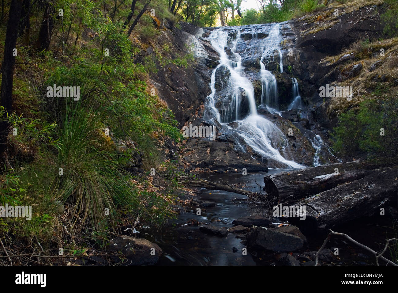 Beedelup Falls in Beedelup National Park. Pemberton, Western Australia ...