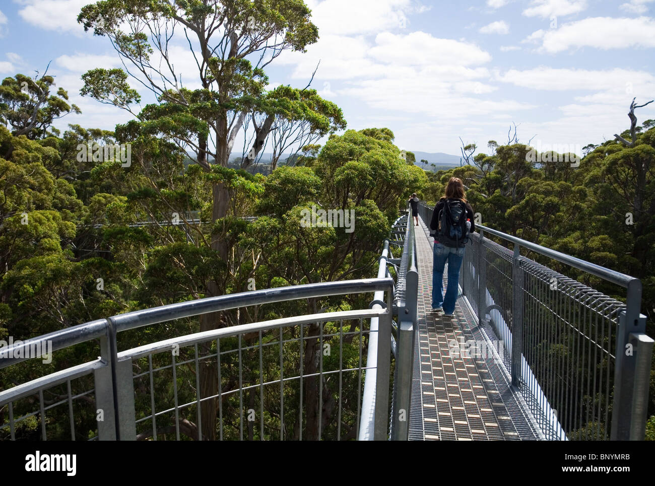 The Tree Top Walk in the Valley of the Giants. Walpole-Nornalup ...