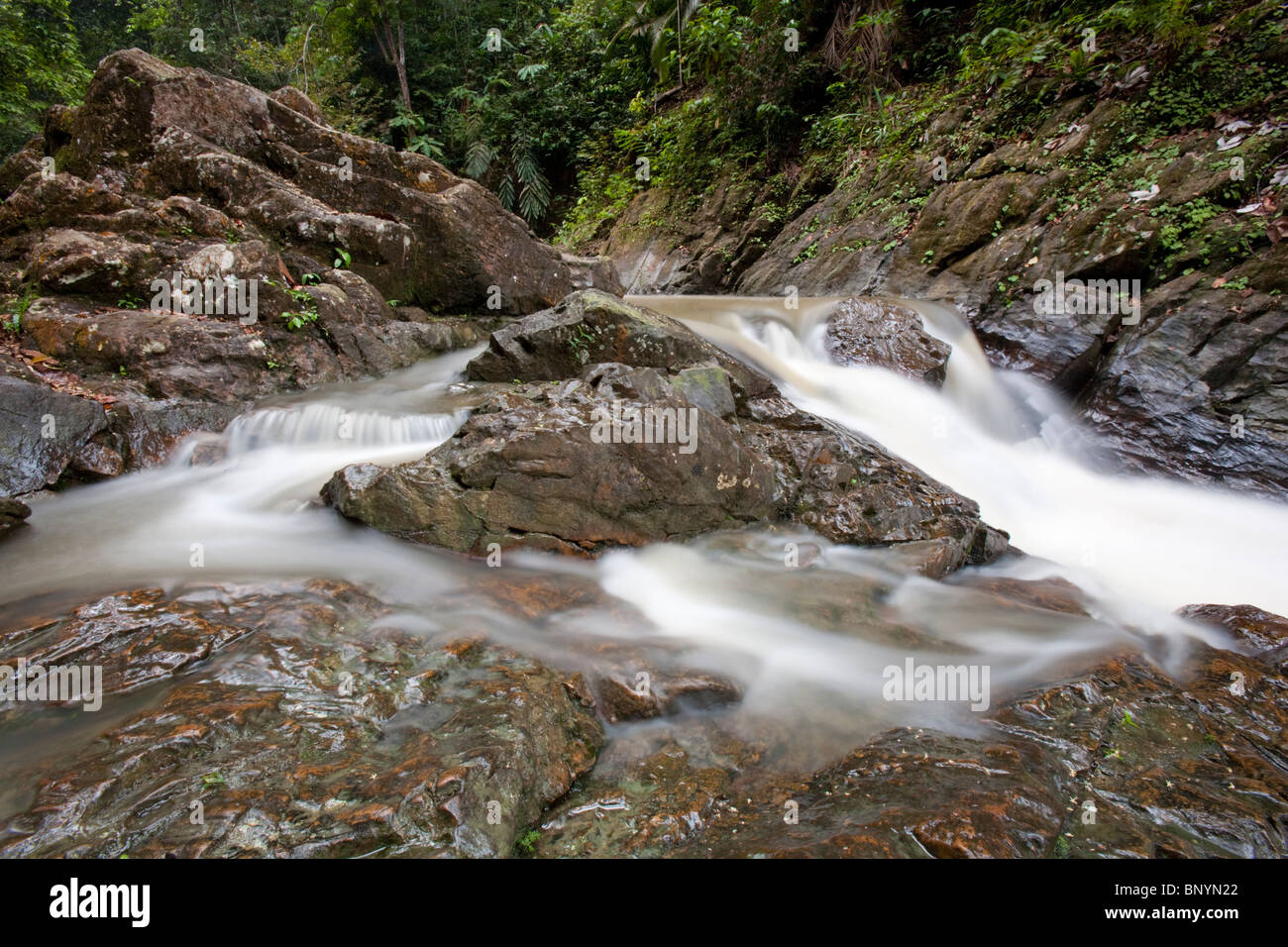 Kota Tinggi waterfalls at the Gunung Panti Recreational forest ...