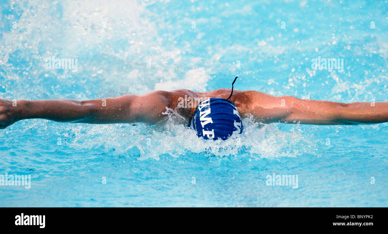 Man swimming - Butterfly Stock Photo - Alamy