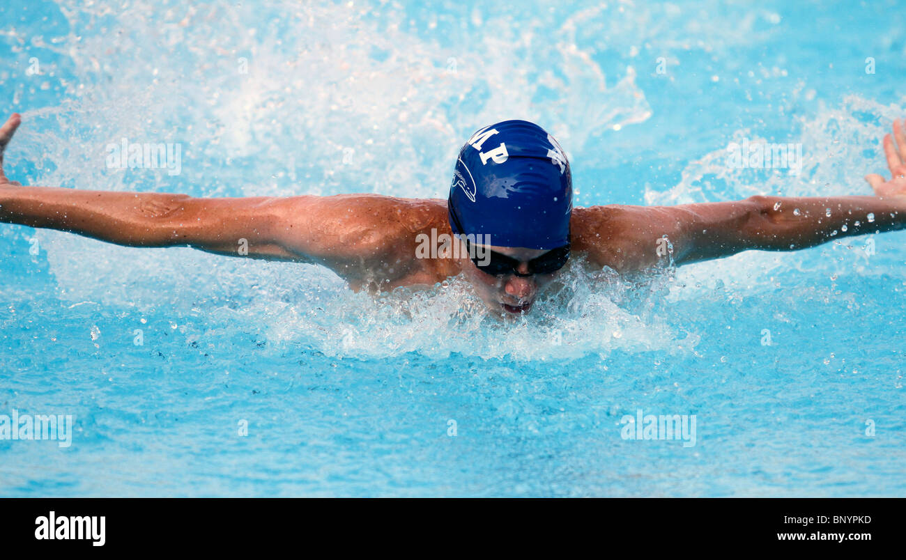 Man swimming - Butterfly Stock Photo - Alamy