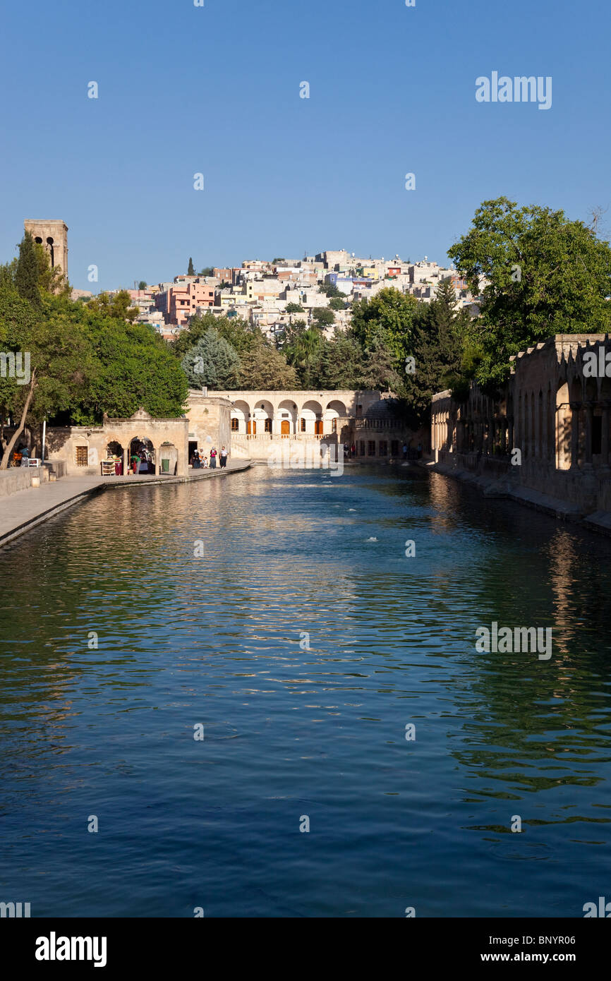 Pool of Abraham or Balikli Gol in Sanliurfa or Urfa, Turkey Stock Photo ...