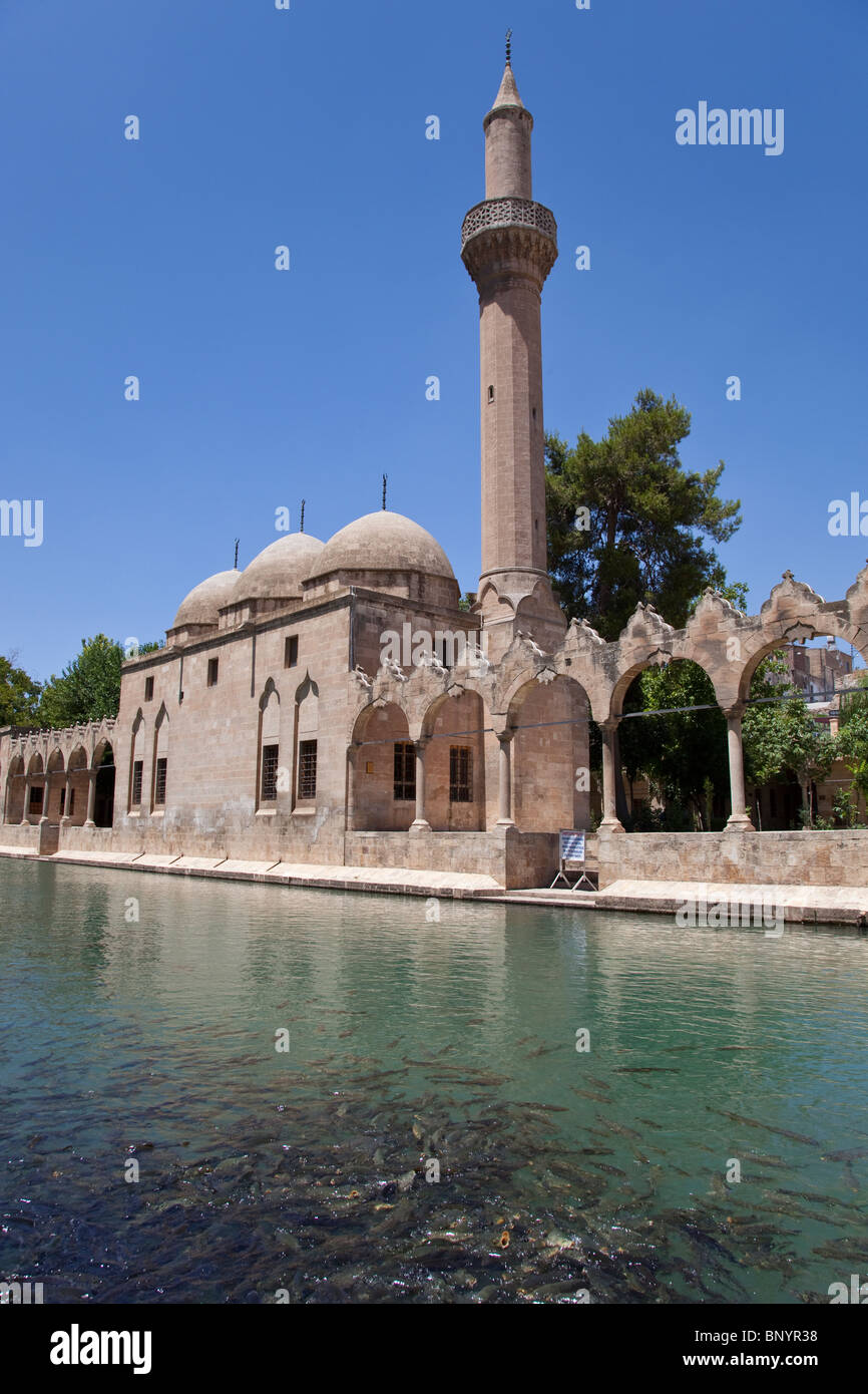 Pool of Abraham or Balikli Gol and Halil ur Rahman Mosque in Sanliurfa ...