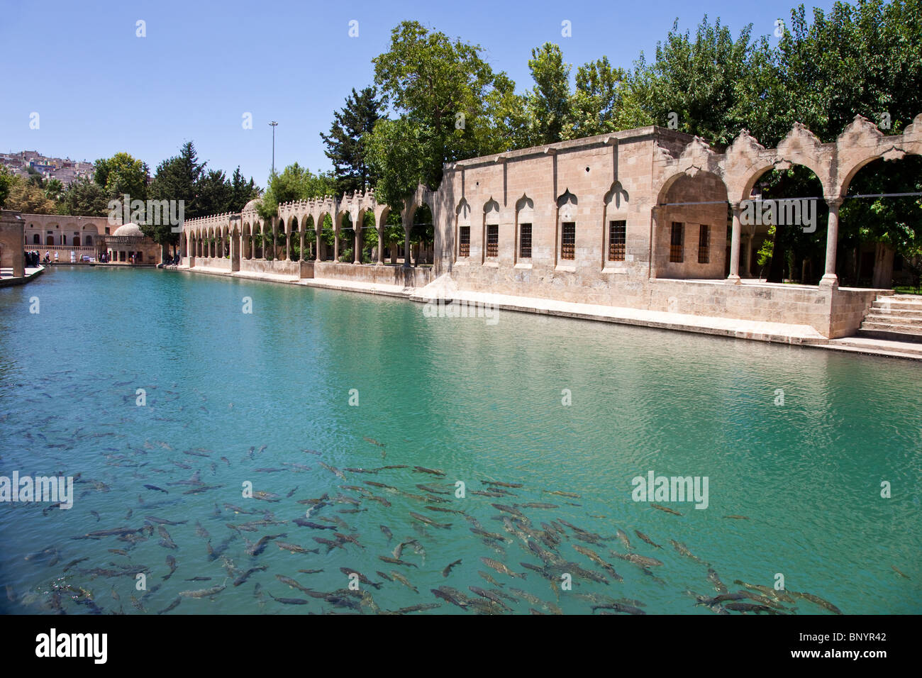 Pool of Abraham or Balikli Gol in Sanliurfa or Urfa, Turkey Stock Photo ...