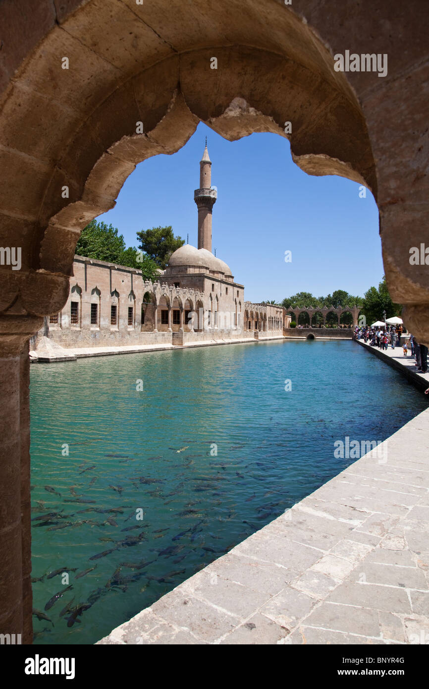 Pool abraham balikli gol in hi-res stock photography and images - Alamy