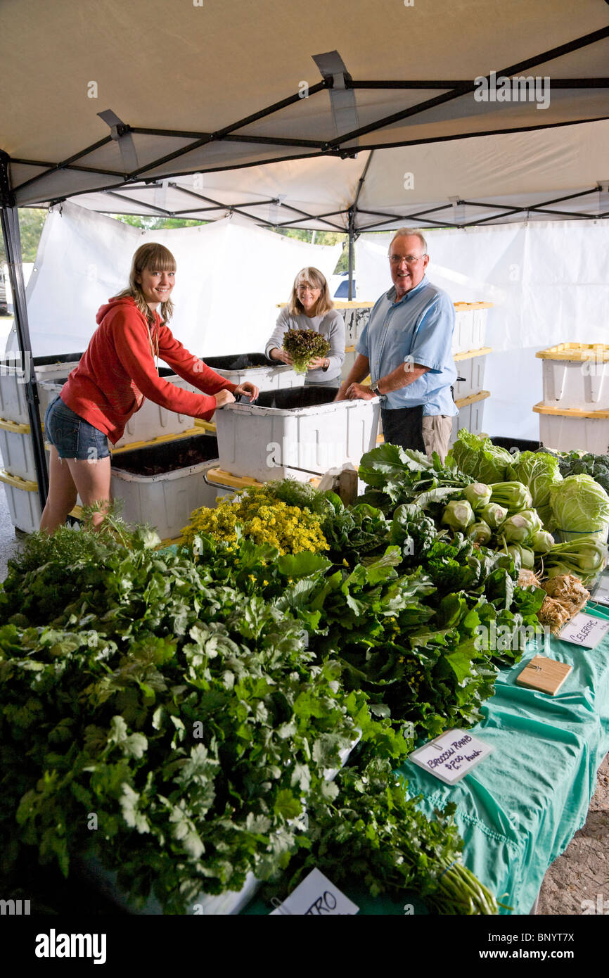 Fresh produce for sale at farmers market Stock Photo - Alamy