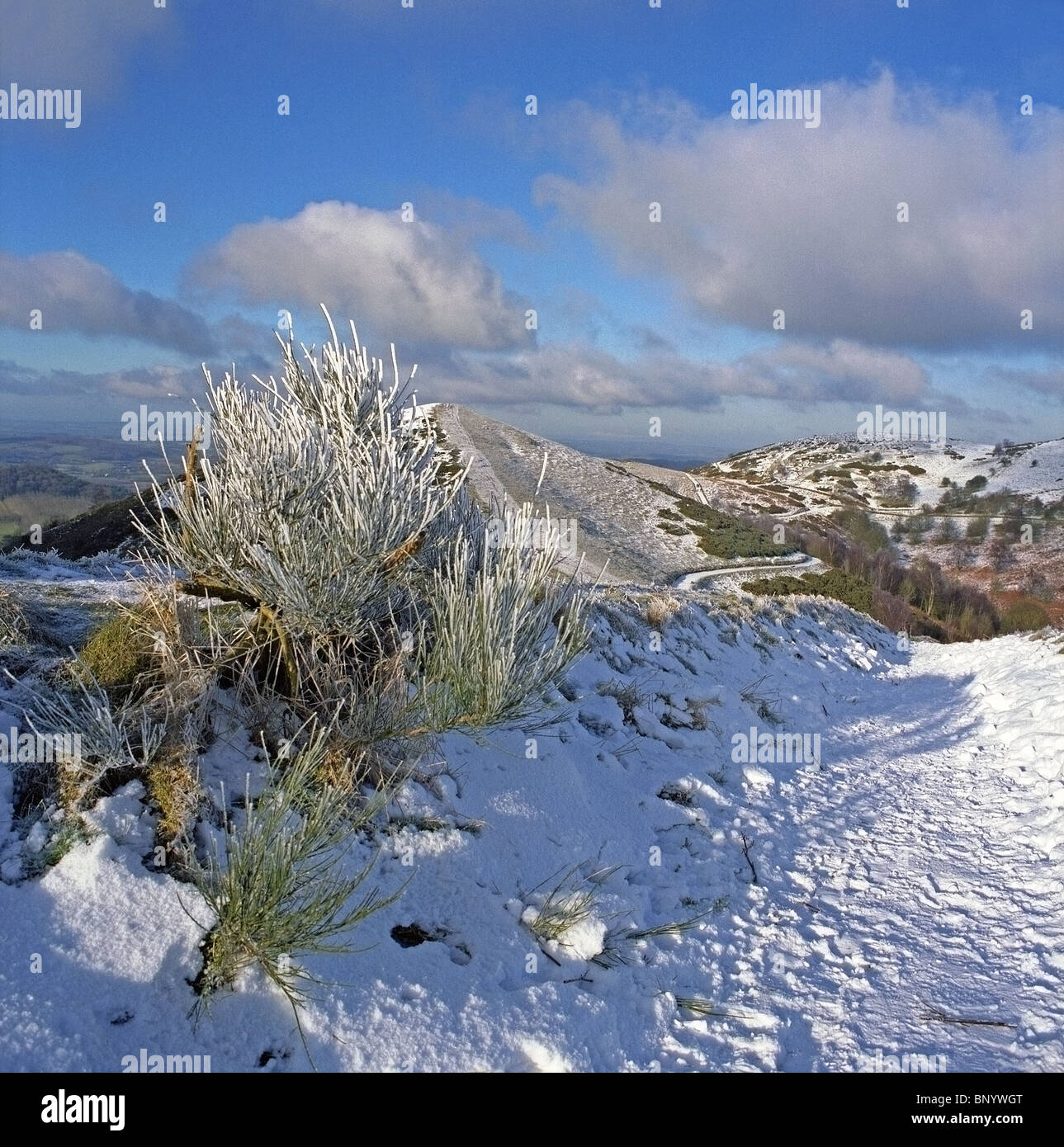 Malvern Hills, Worcestershire, England, UK in Winter Stock Photo - Alamy