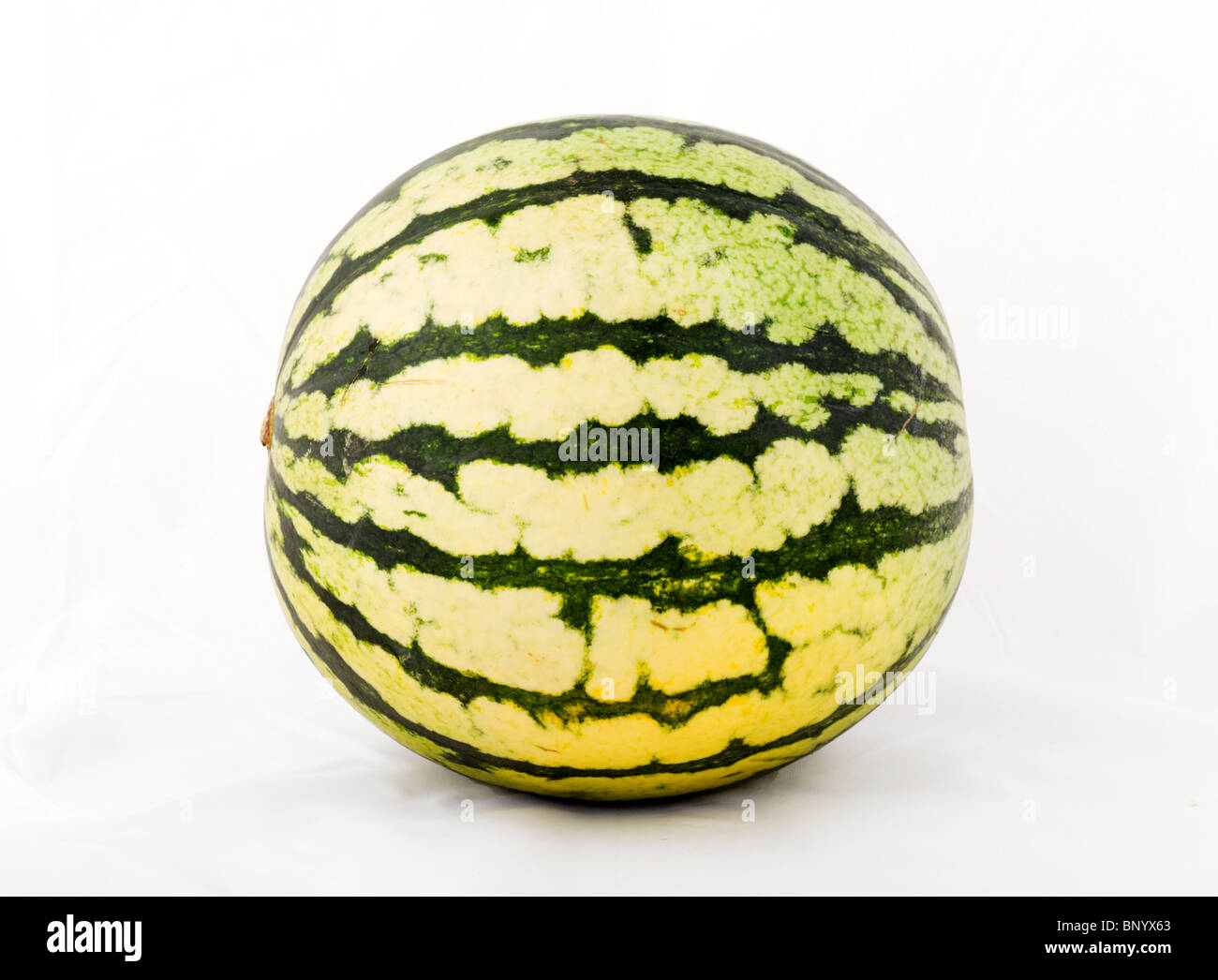 Watermelon (Citrullus Lanatus Stock Photo - Alamy