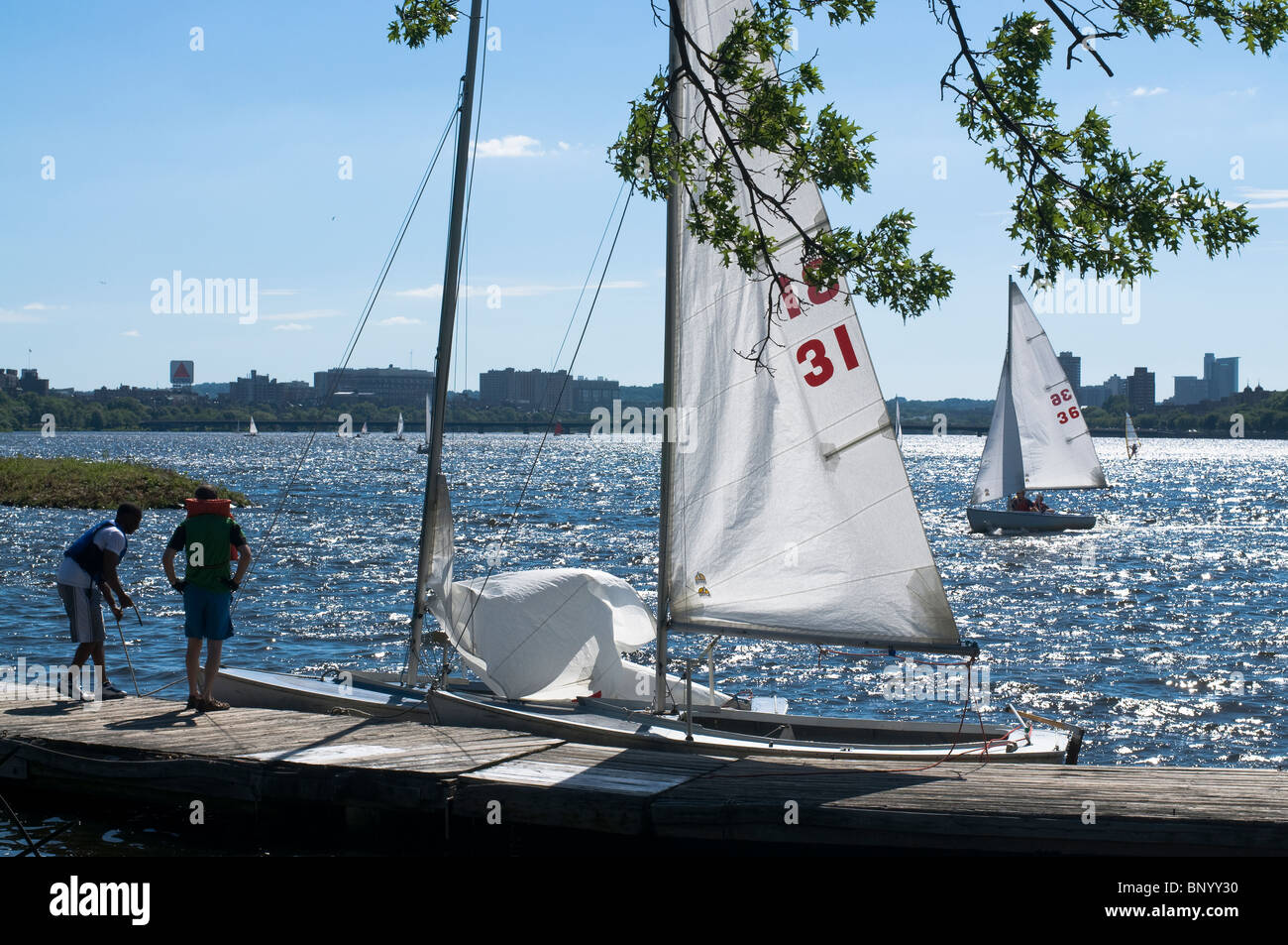 A day of sailing on Boston's Charles river Stock Photo - Alamy