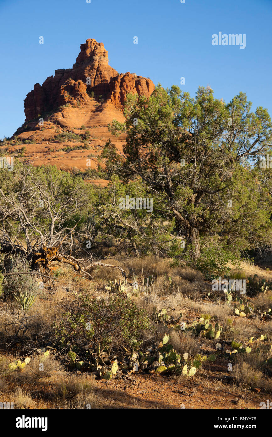 Sedona Arizona - Bell Rock, a vortex site. With desert vegetation ...