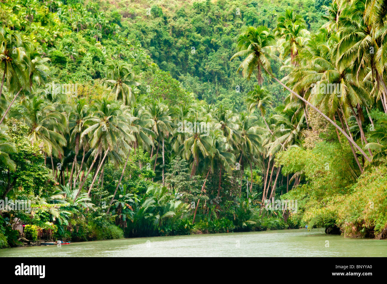 Loboc river jungle hi-res stock photography and images - Alamy