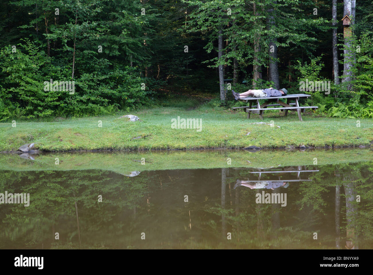 Man sleeping on picnic table hi-res stock photography and images - Alamy