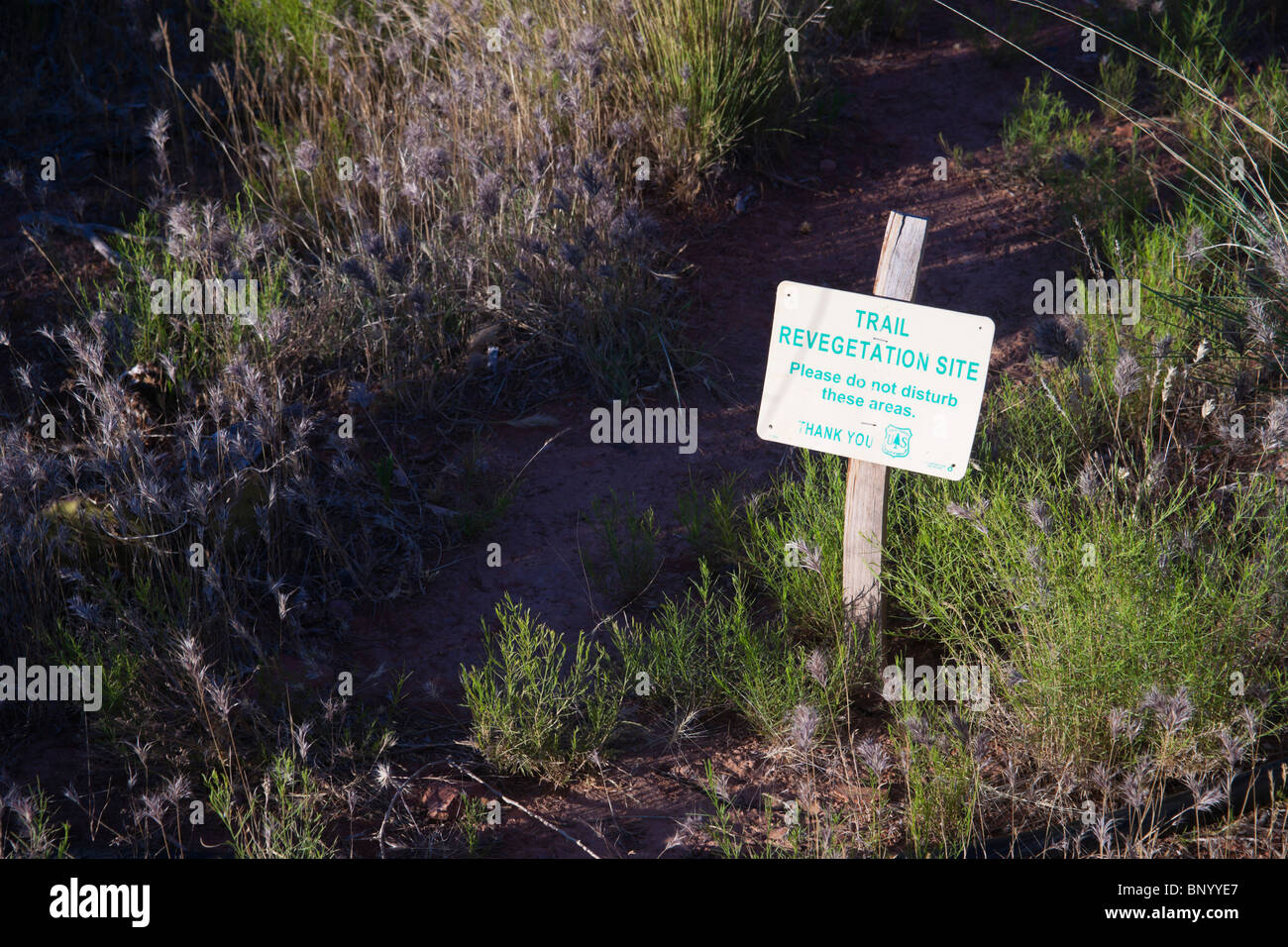 Sedona Arizona - revegetation sign keeps hikers off replanted or ...