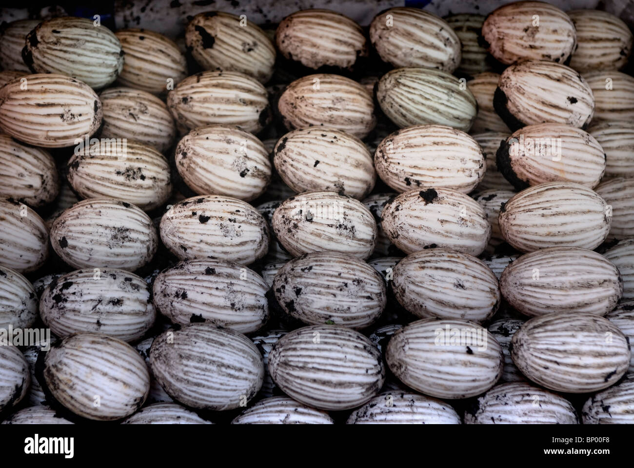 Thousand Year Eggs In The Graham Street Market Area In Old Hong Kong Stock Photo Alamy thousand-year-eggs-in-the-graham-street-market-area-in-old-hong-kong-stock-photo-alamy