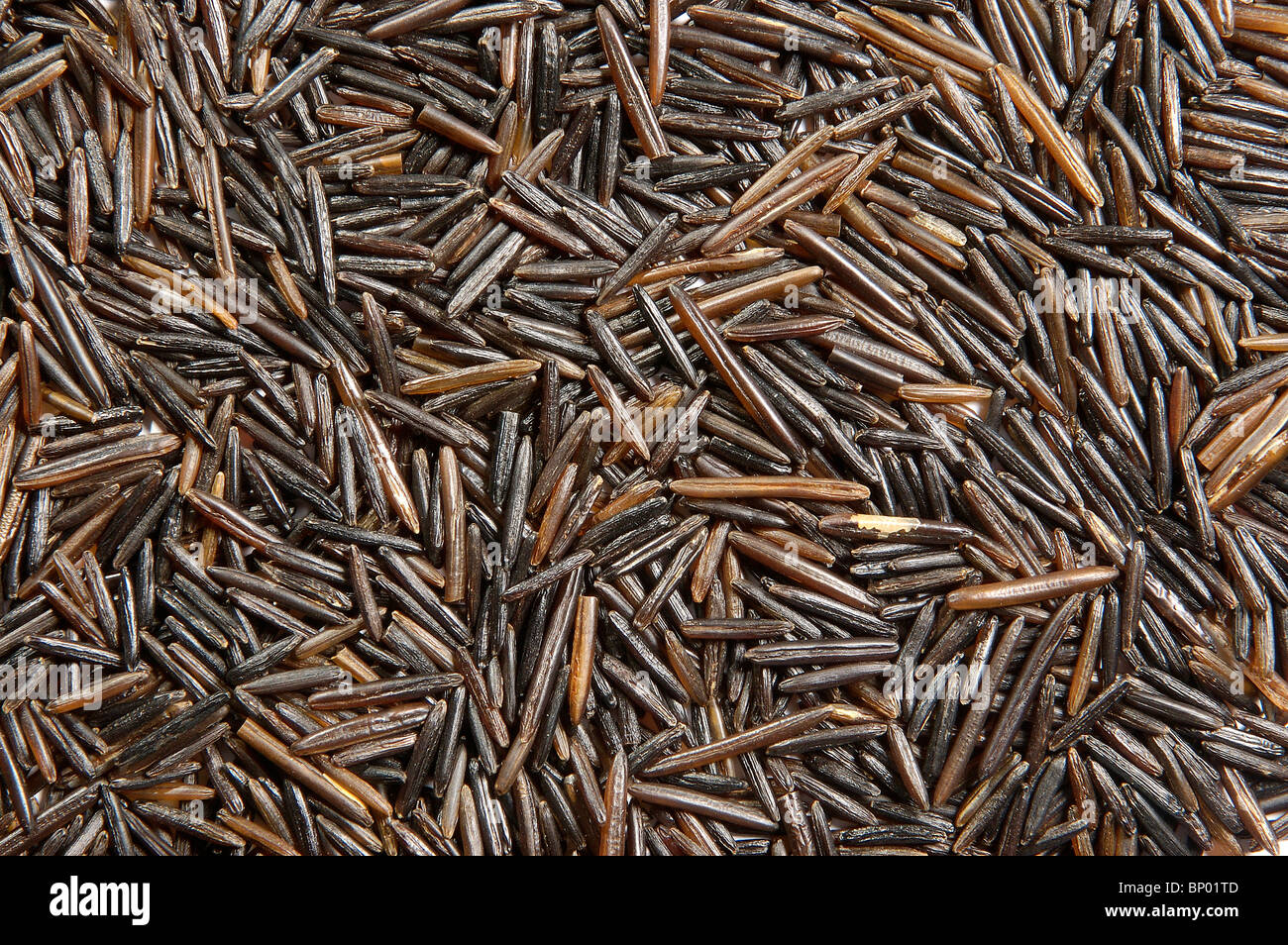 The Wild Rice texture closeup Stock Photo - Alamy