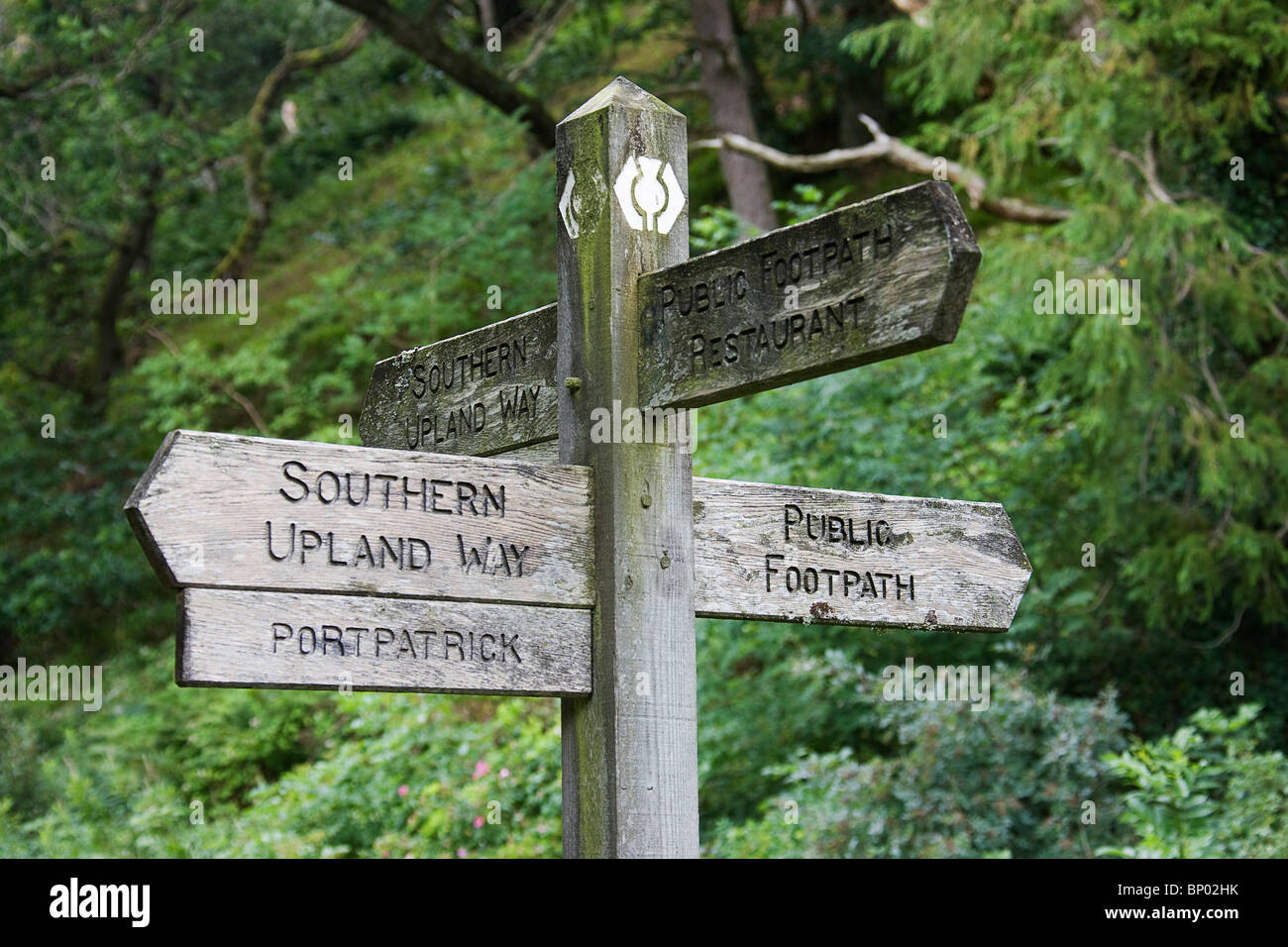 Sign on the Southern Upland way. Abbey St Bathans Stock Photo - Alamy
