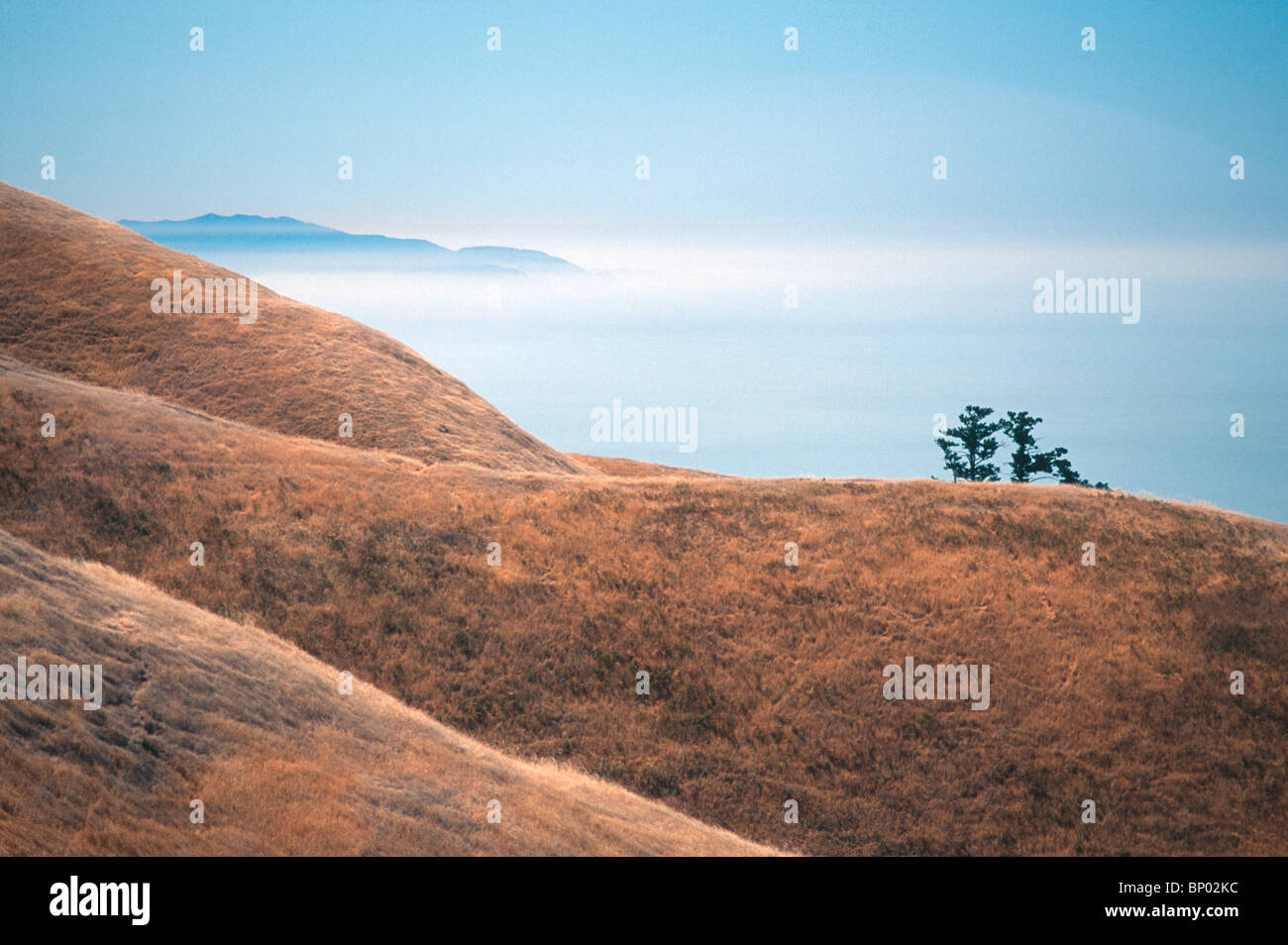 Grassy hills in Marin County, San Mateo mountains enshrouded in haze ...
