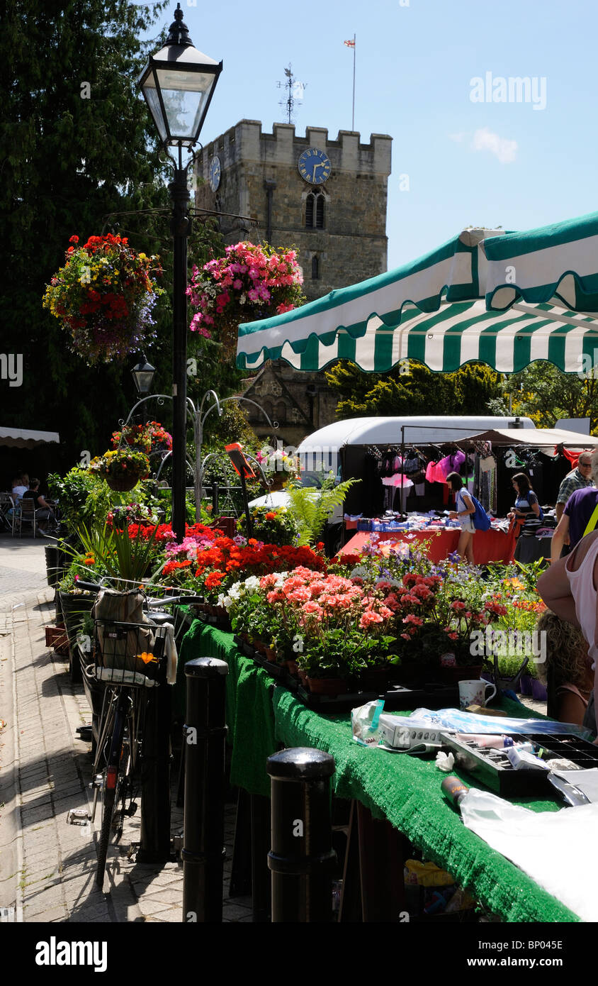 Market trader selling plants and flowers from a stall on The Square ...
